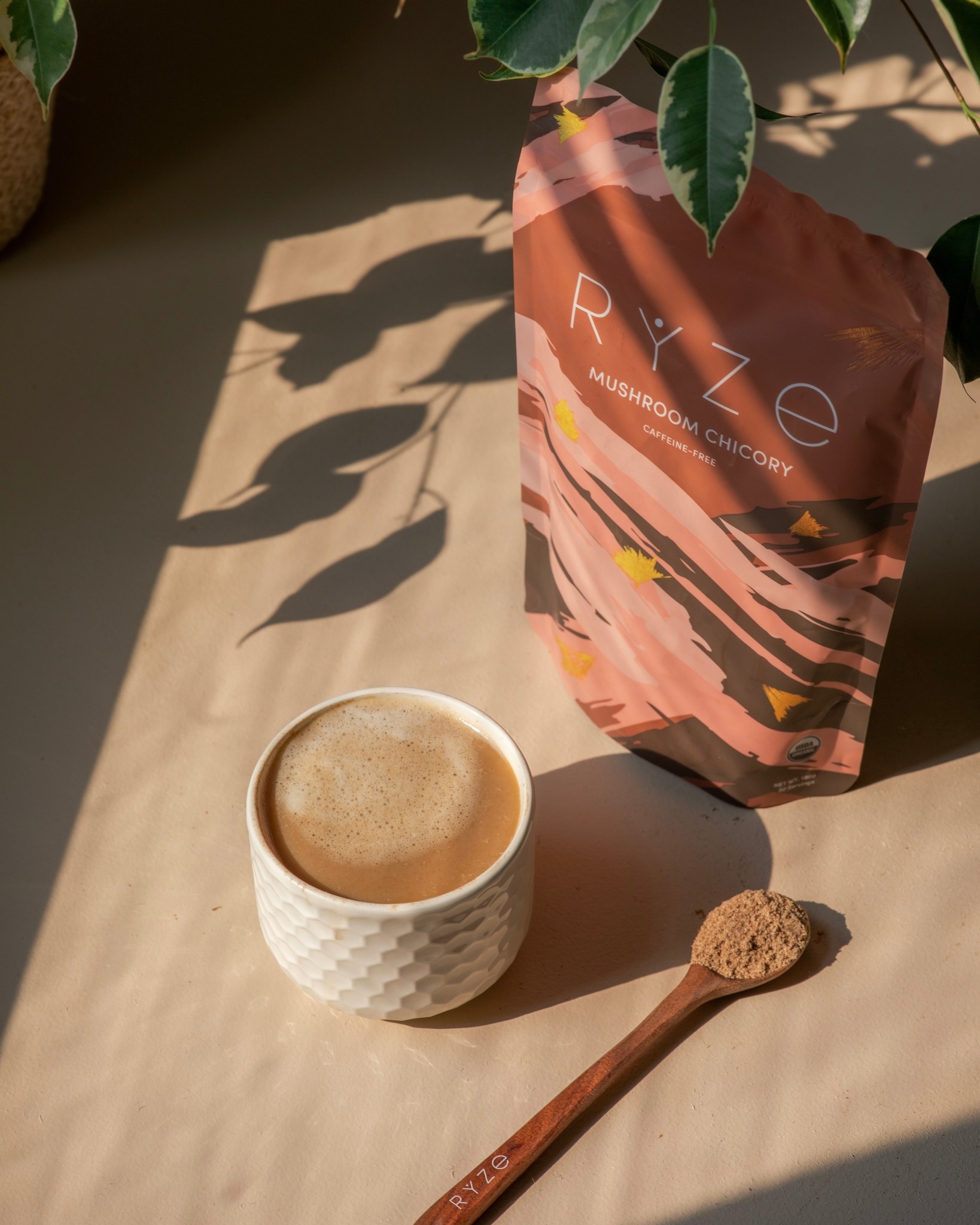 Ryze Mushroom Coffee Review: Mushroom Infused Morning Bliss